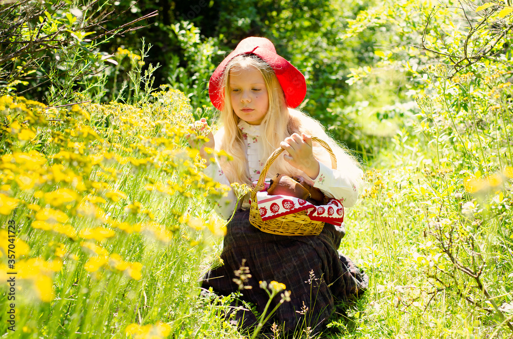 Little Red Riding Hood, girl, forest, summer, spring, crouched, looking ...