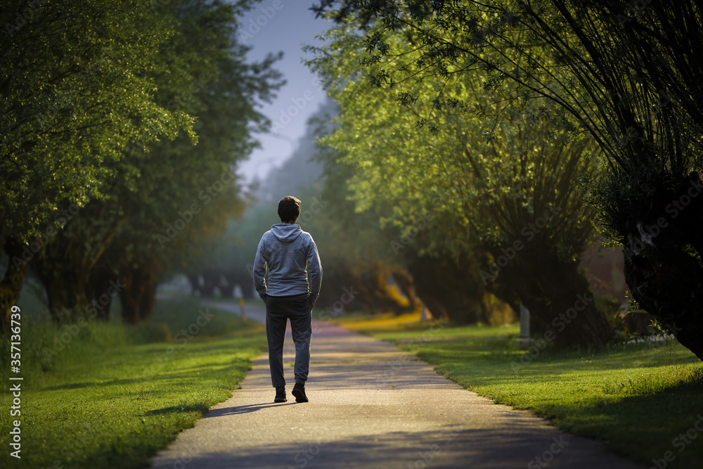 One young alone man slowly walking through alley of trees in warm ...