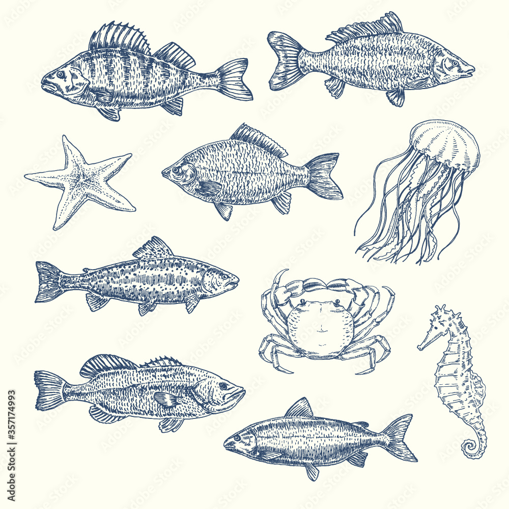 Vintage set of sea creatures: fish, starfish, seahorse, jellyfish, crab ...