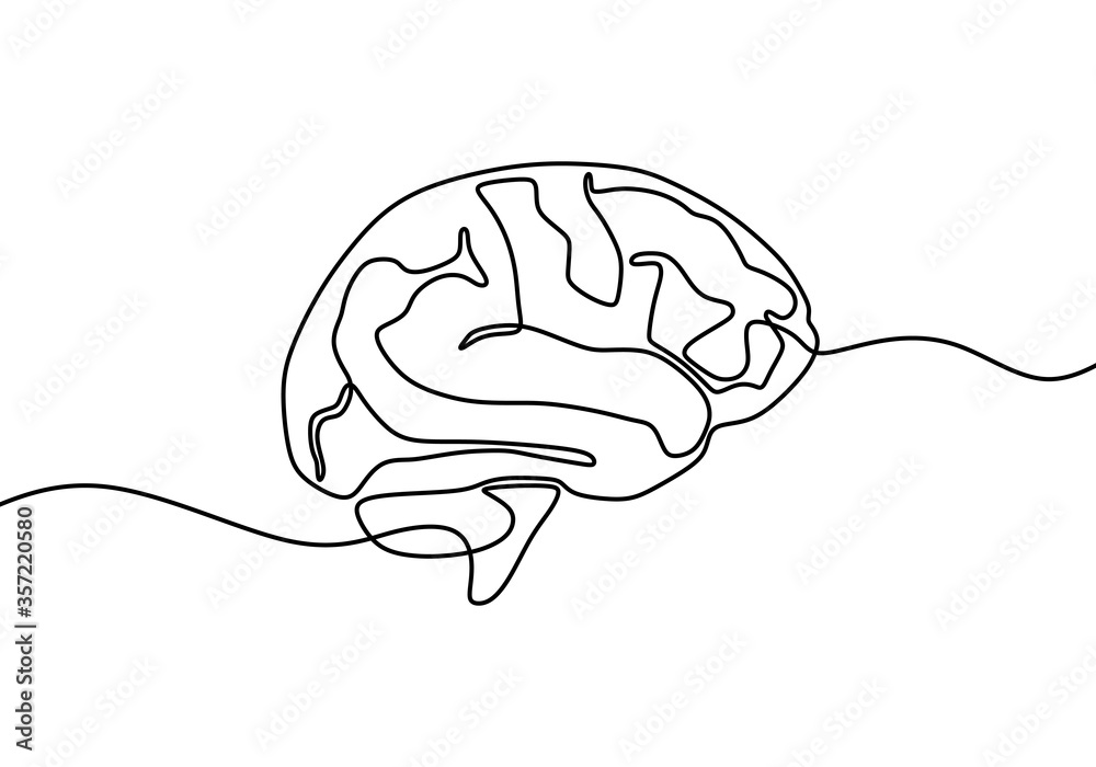 Continuous line art or one line drawing of a human brain. Hand draw ...