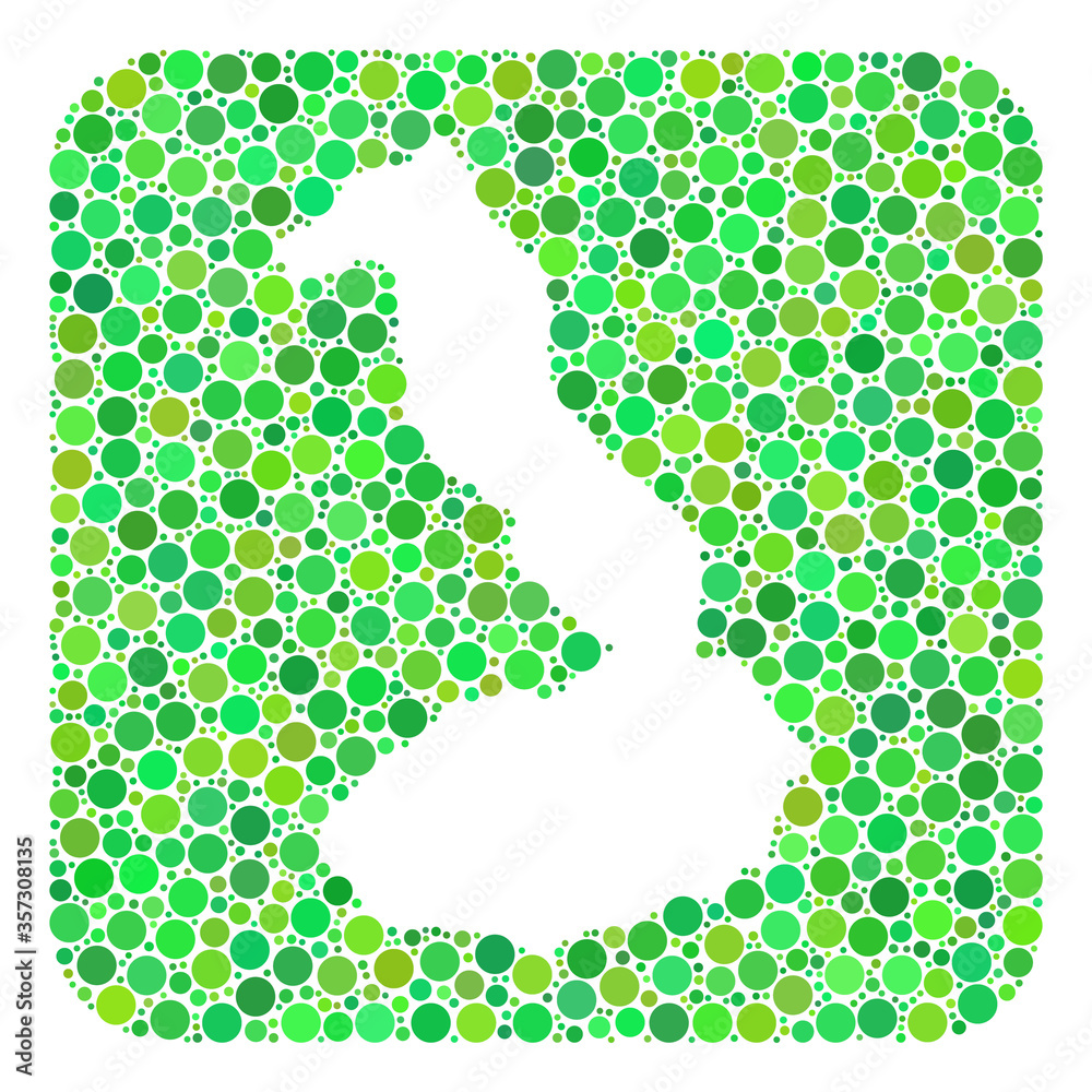 Map of Galapagos - Isabela Island collage created with rounded ...