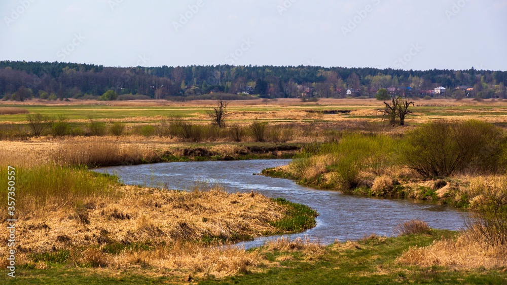 Piękna i dzika rzeka Narew, Podlasie, Polska Stock Photo | Adobe Stock