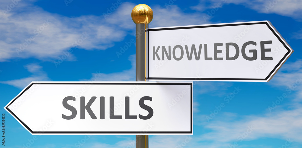 Skills and knowledge as different choices in life - pictured as words ...