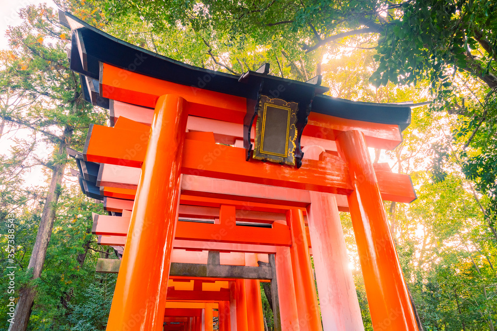 Japan. Temple complex on mount Inariyama. Kyoto. The Fushimi Inari ...