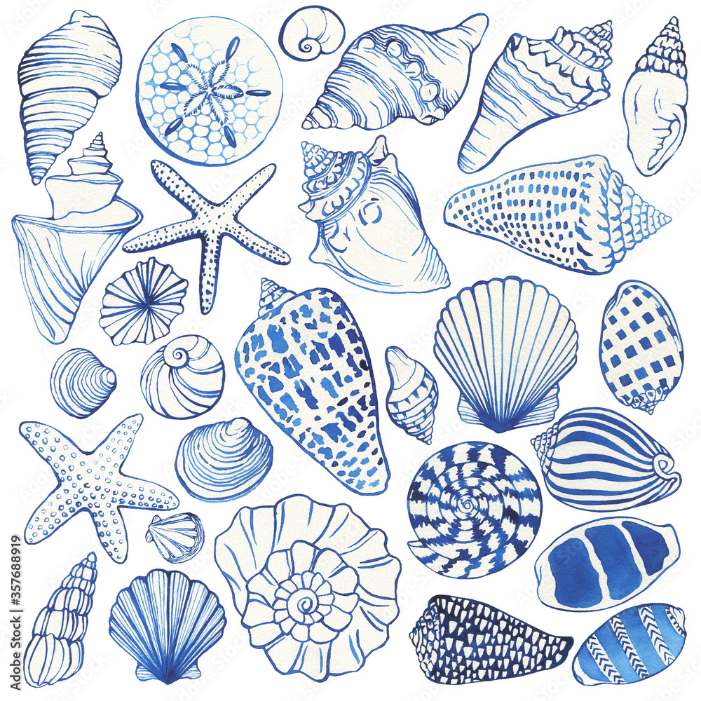 Set of blue seashells and starfish, marine design. Watercolor hand ...