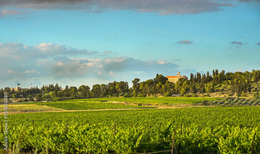 Latrun (Silent) Trappist Monastery and agricultural fields and ...