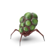 Alien Bug 1 Free Stock Photo - Public Domain Pictures