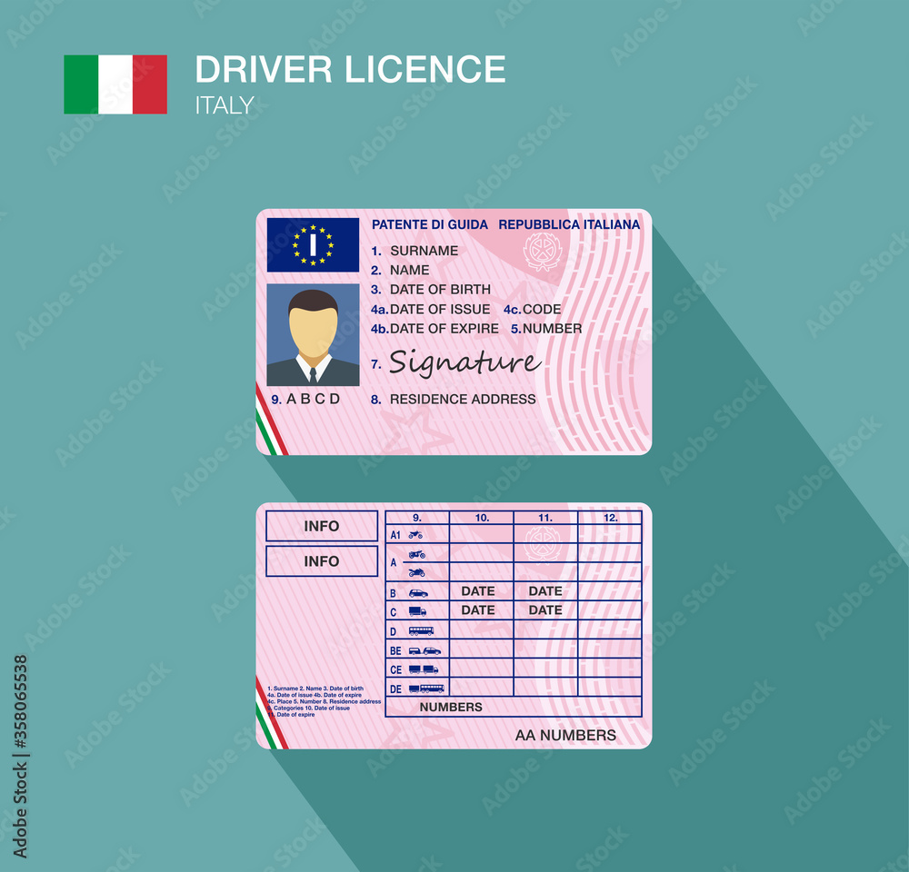 Italian car driver license identification. Flat vector illustration ...