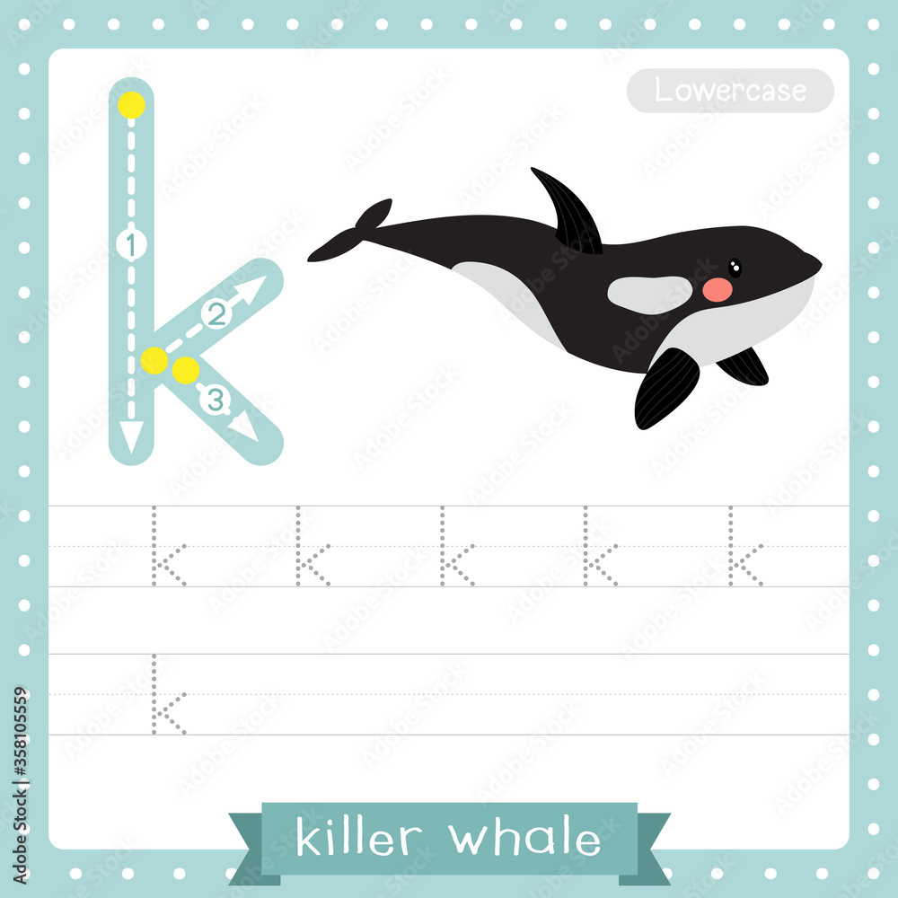 Letter K lowercase tracing practice worksheet of Killer whale Stock ...