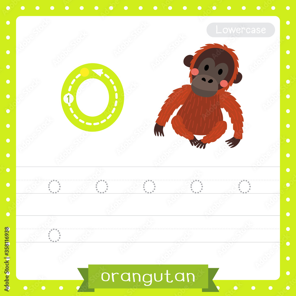 Letter O lowercase cute children colorful zoo and animals ABC alphabet ...