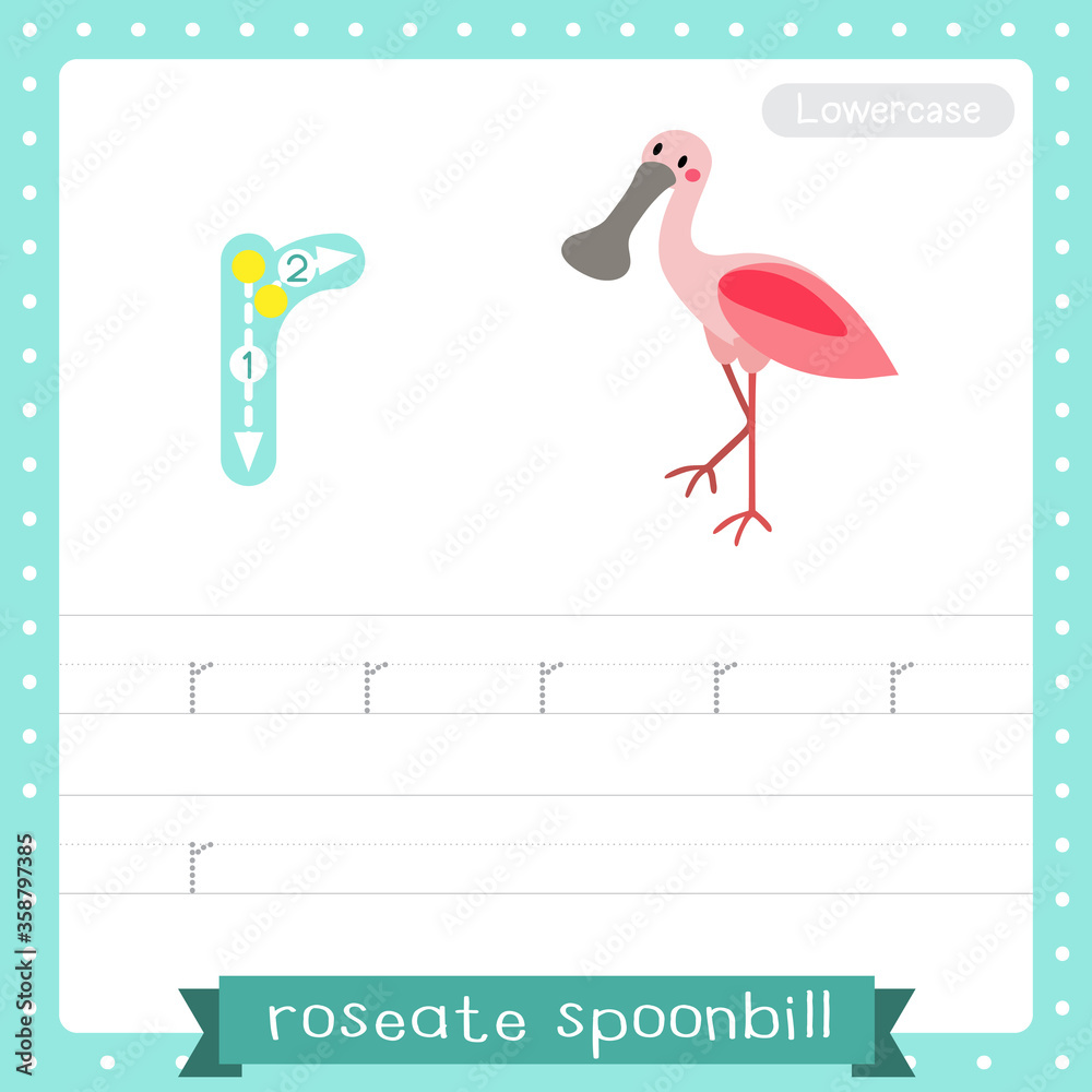 Letter R lowercase tracing practice worksheet of Standing Roseate ...