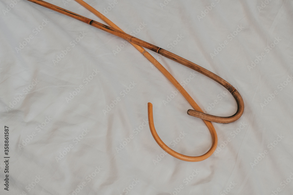 Rattan canes with crooked handle on white background. Dragon rattan ...