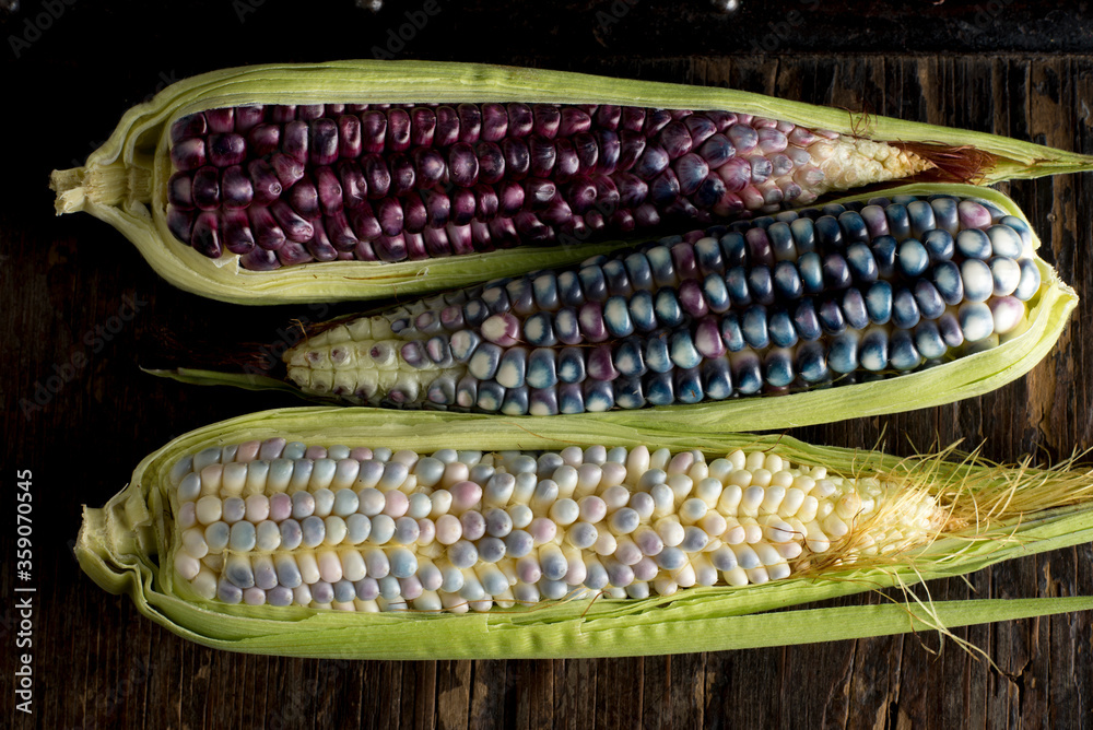 Foto de Stock Tres elotes de colores: azul, morado y blanco | Adobe Stock