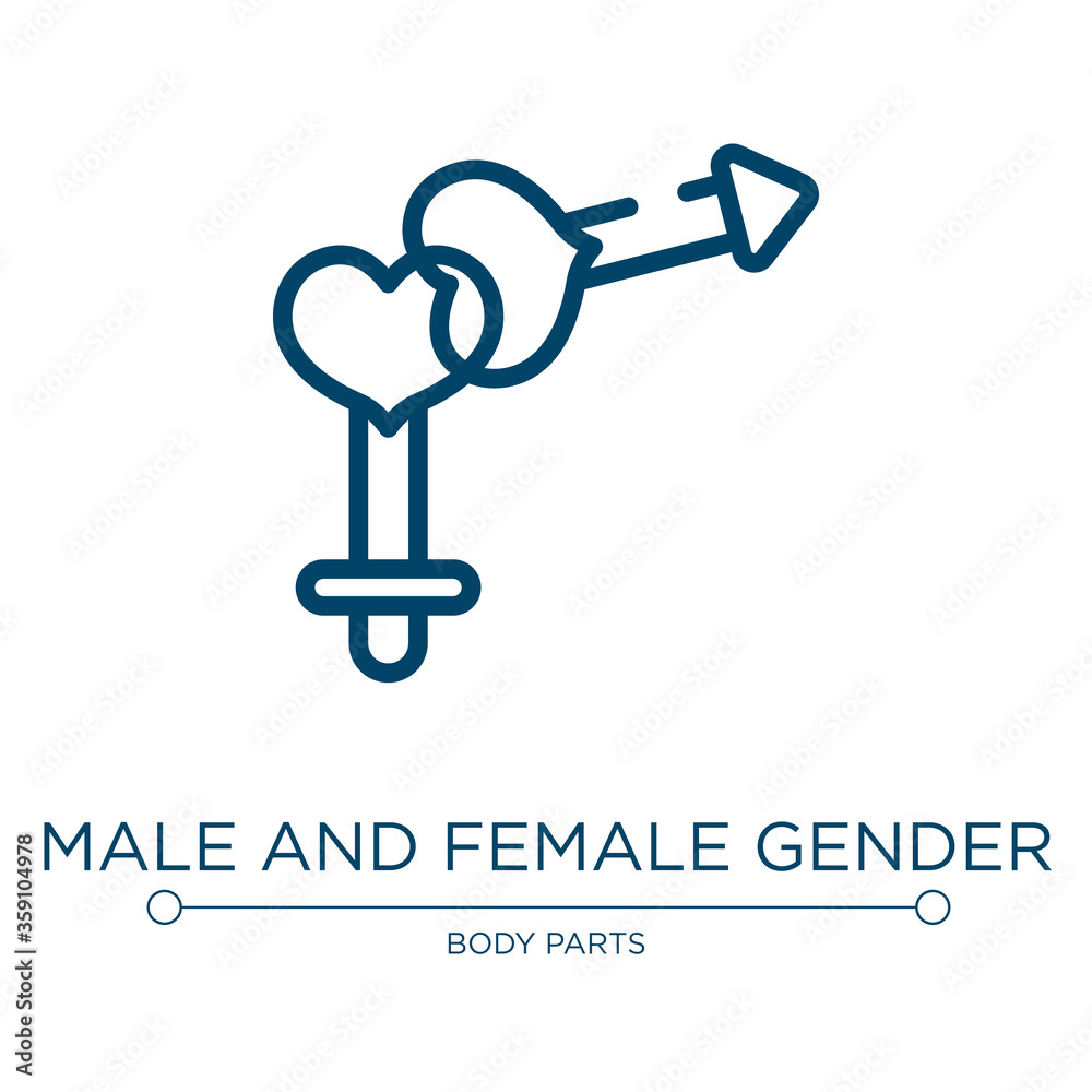 Male and female gender symbols icon. Linear vector illustration from ...