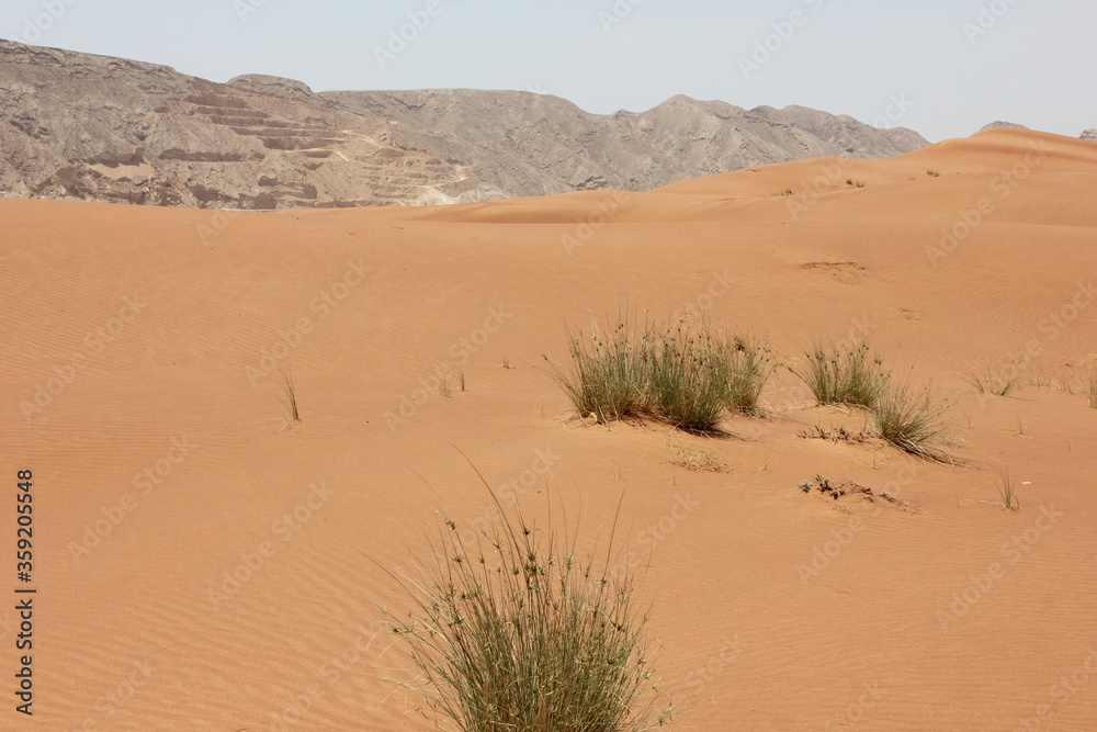 Hot and arid desert sand dunes terrain in Sharjah emirate in the United ...