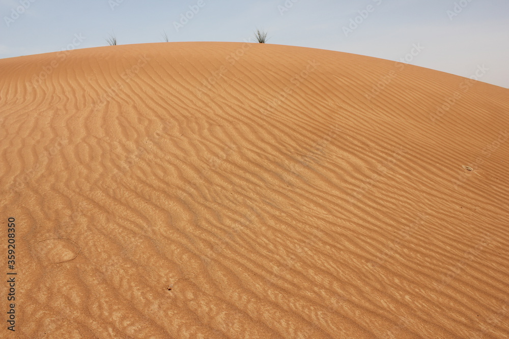 Hot and arid desert sand dunes terrain in Sharjah emirate in the United ...