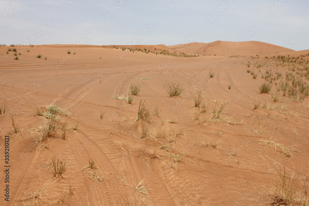 Hot and arid desert sand dunes terrain in Sharjah emirate in the United ...