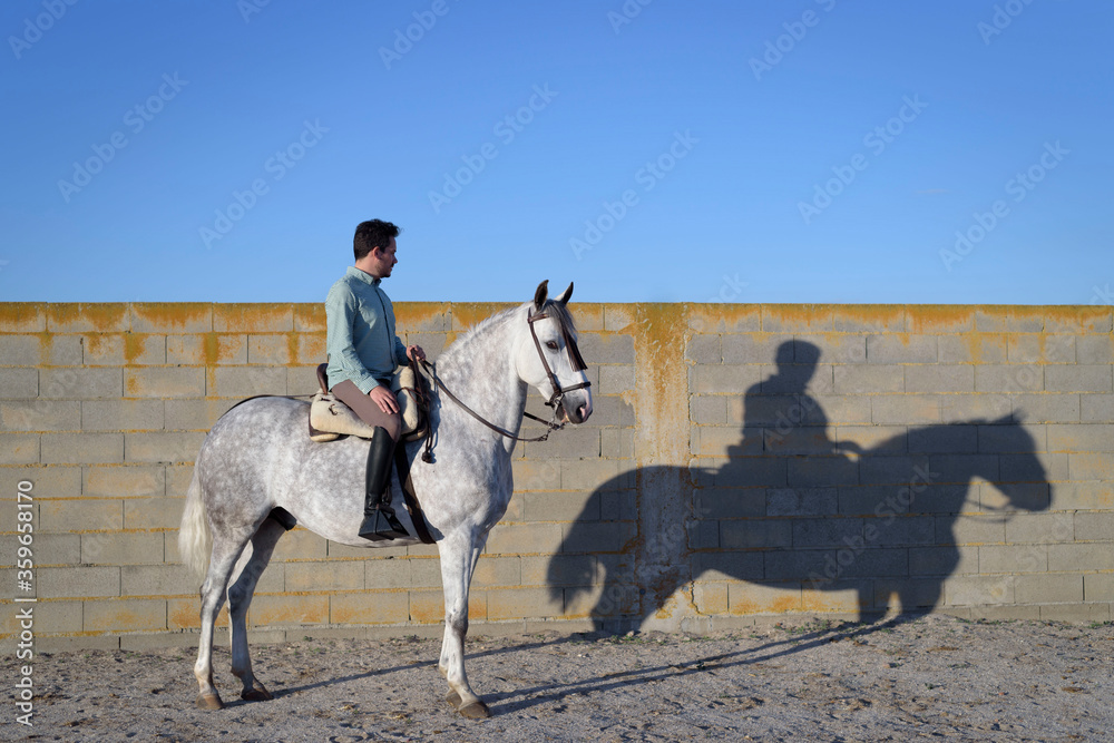 Rider riding a horse with a large shadow at his side. Track riding ...