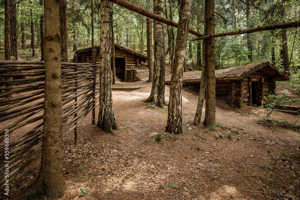 old military dugout in the forest Stock Photo | Adobe Stock