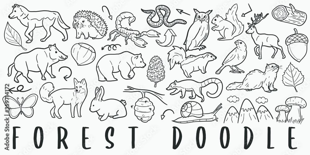 Forest Animals Doodle Line Art Illustration. Hand Drawn Vector Clip Art ...