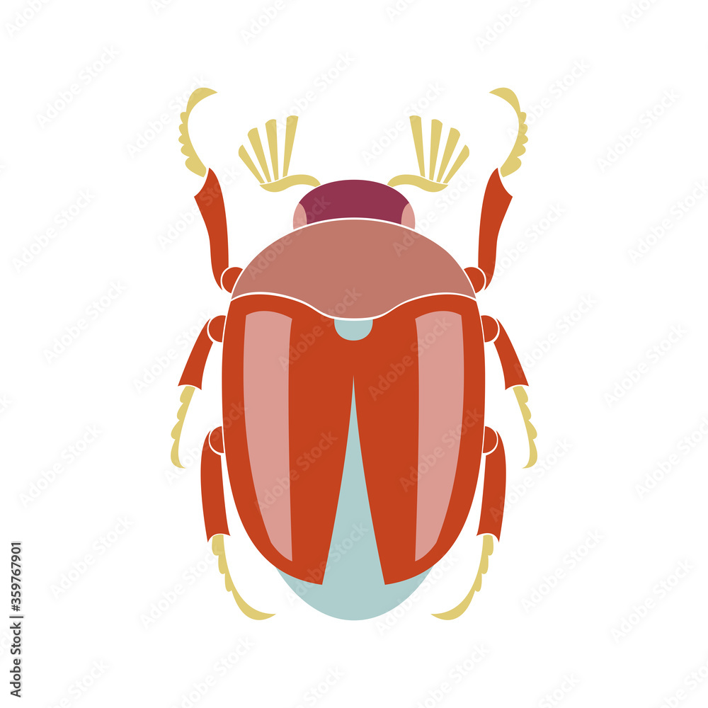 Bug beetle view from above. Isolated insect cartoon vector illustration ...