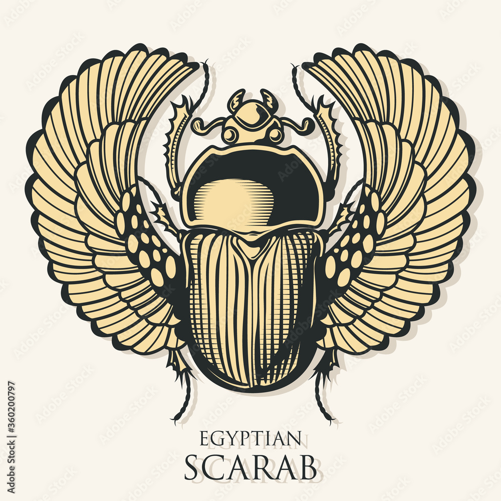 Egyptian Scarab, Winged Bug, Beetle Drawing Stock Vector | Adobe Stock