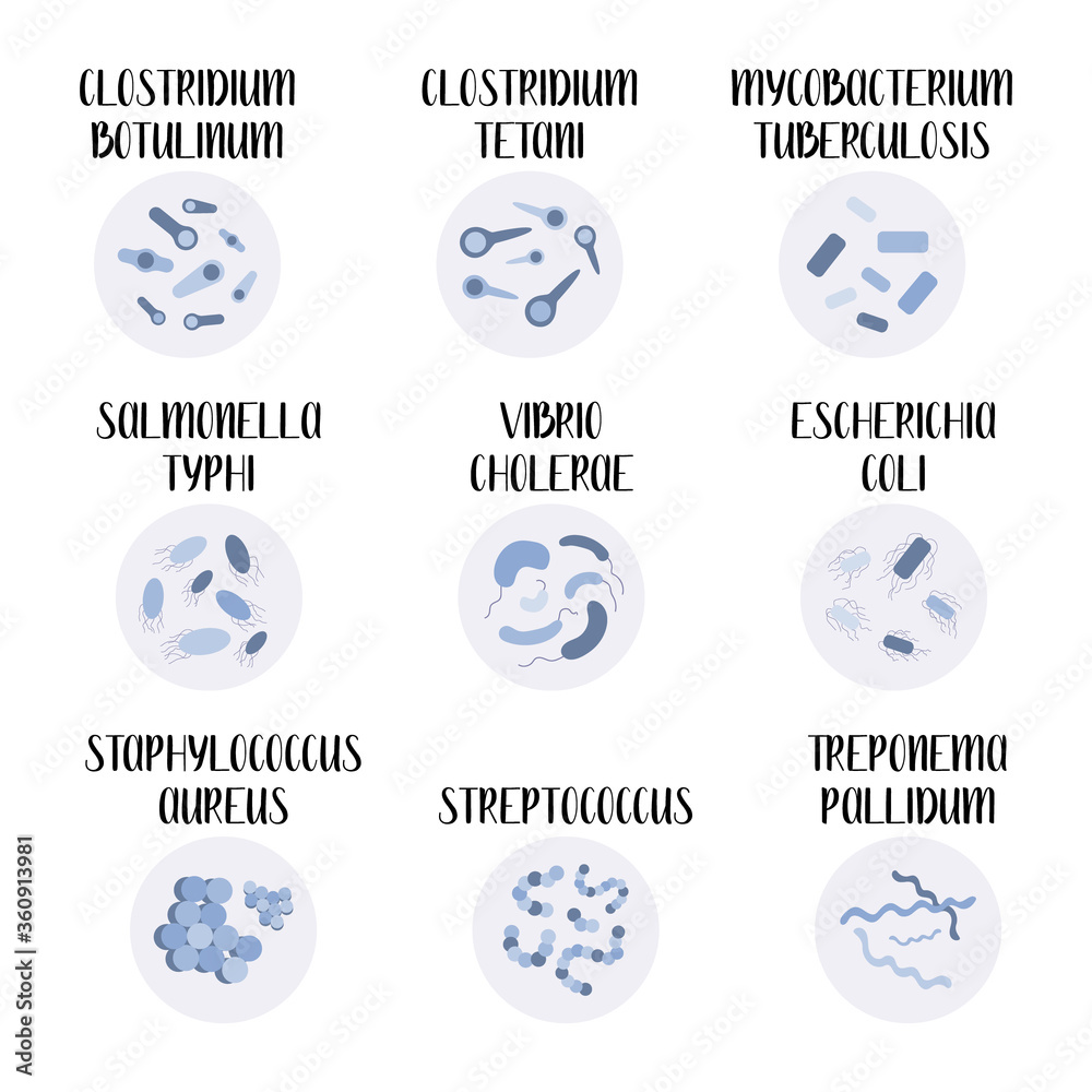 Vector de Stock 9 most pathogenic bacteria: Escherichia Coli ...