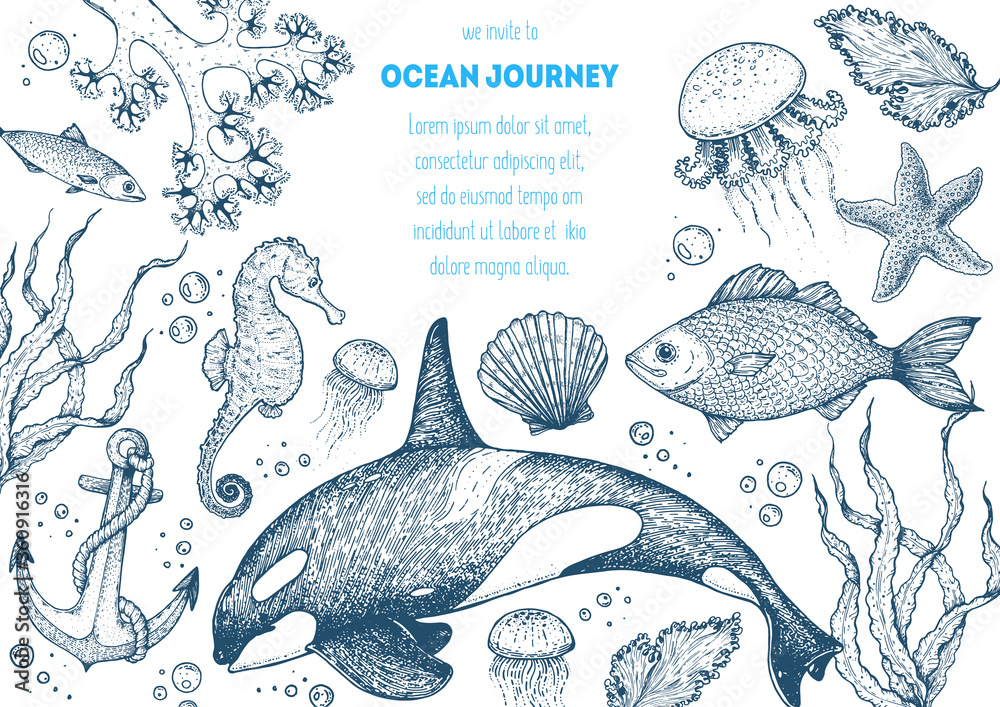 Sea animals hand drawn collection. Sketch illustration. Killer whale ...