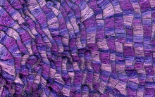 Purple Seamless Bark Background Free Stock Photo - Public Domain Pictures