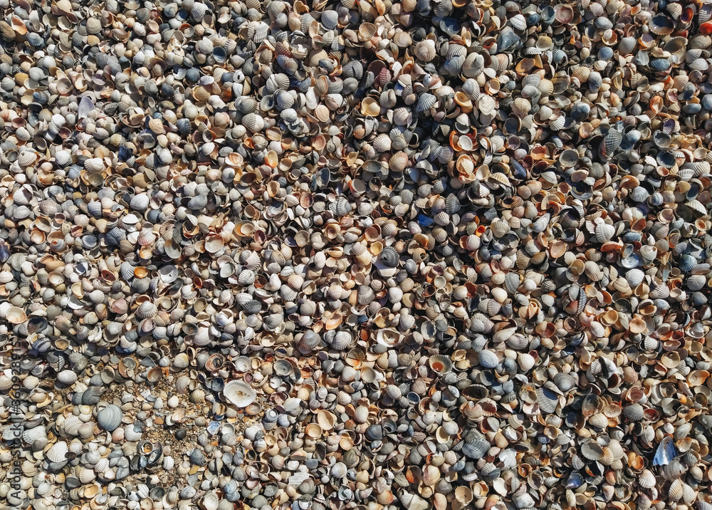The texture of small, different-sized multi-colored sea shells mixed ...