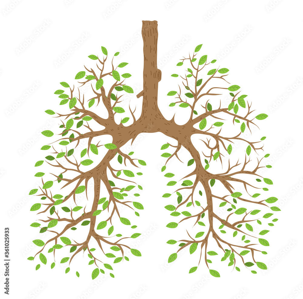 Tree Lungs, Tree branches and leaves shaped like a human lungs, concept ...