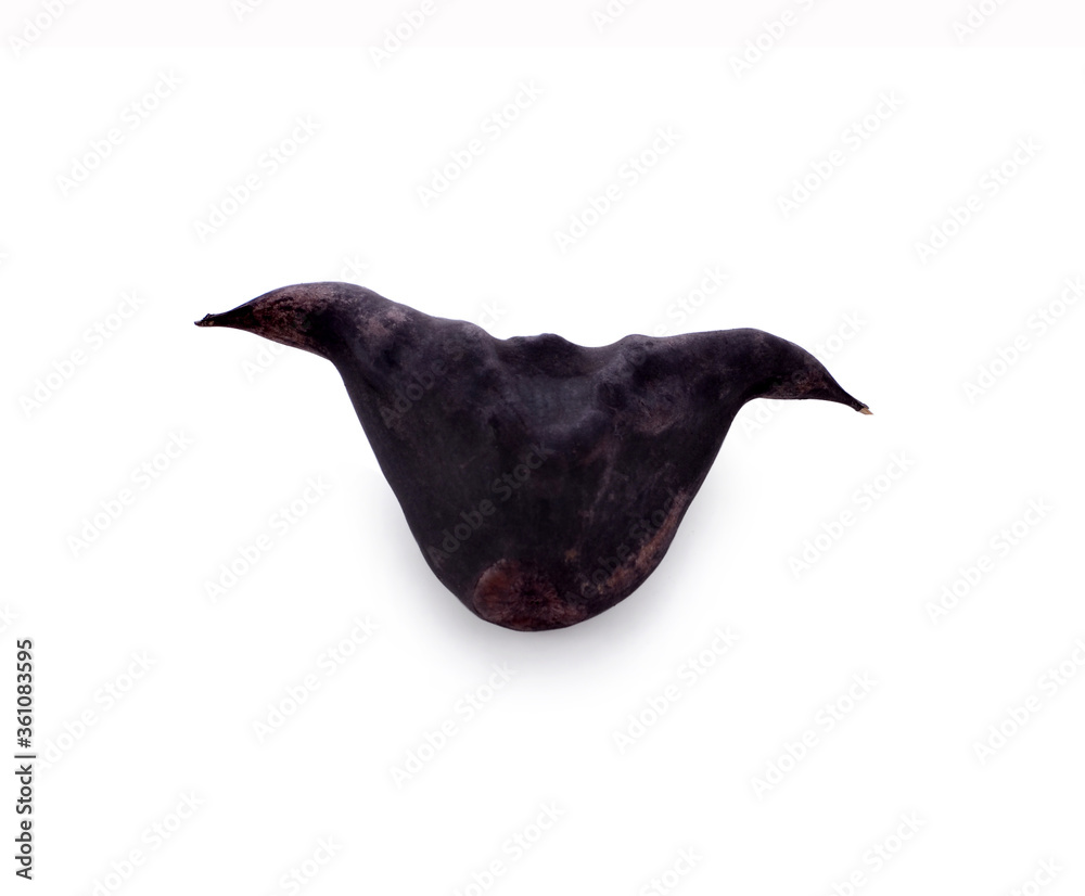 View of black water caltrop water chestnuts shaped like bats (buffalo ...