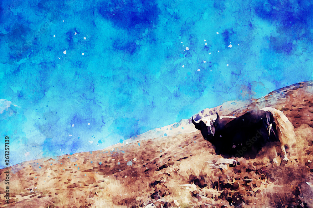 Painting of yak a hight attitude animal on mountain, nature landscape ...