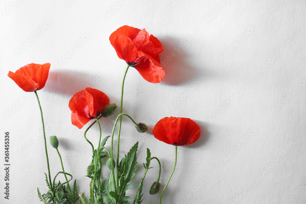 Beautiful red poppy flowers on white background, flat lay Stock Photo ...