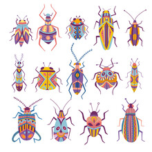 Boho Bug Insect Free Stock Photo - Public Domain Pictures