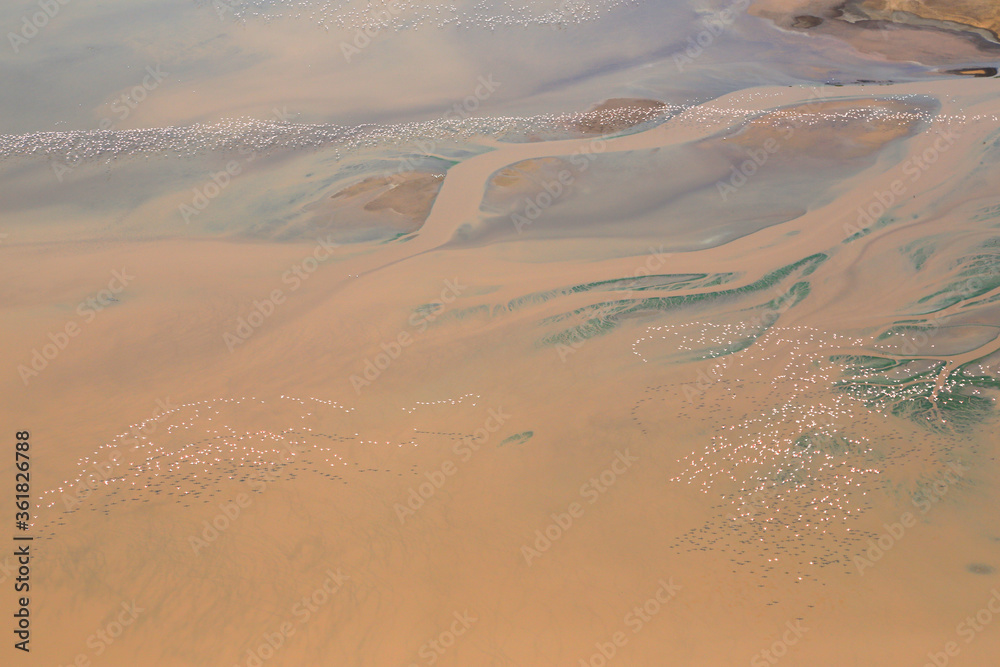 Foto Aerial view of a flock of lesser flamingos over Lake Natron in the ...
