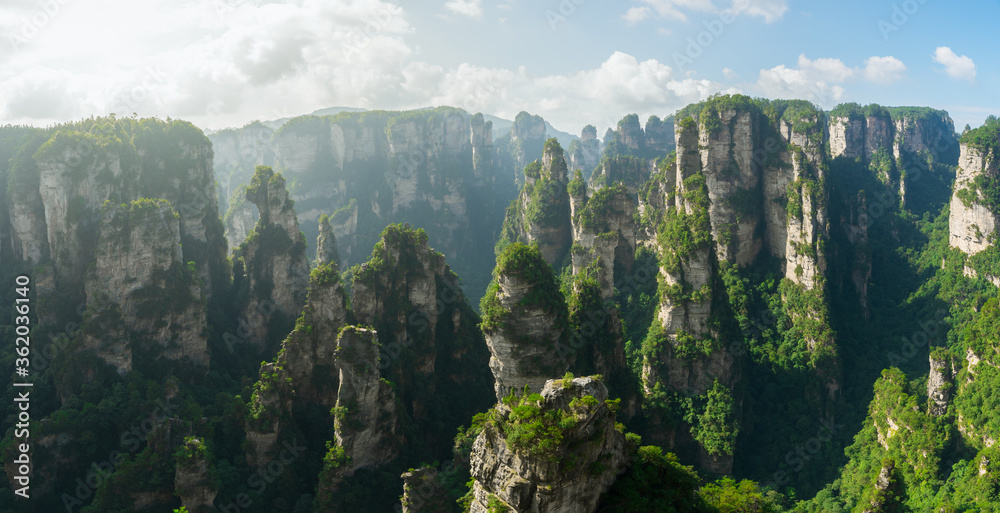Green nature background, beautiful panoramic picture of Zhangjiajie ...