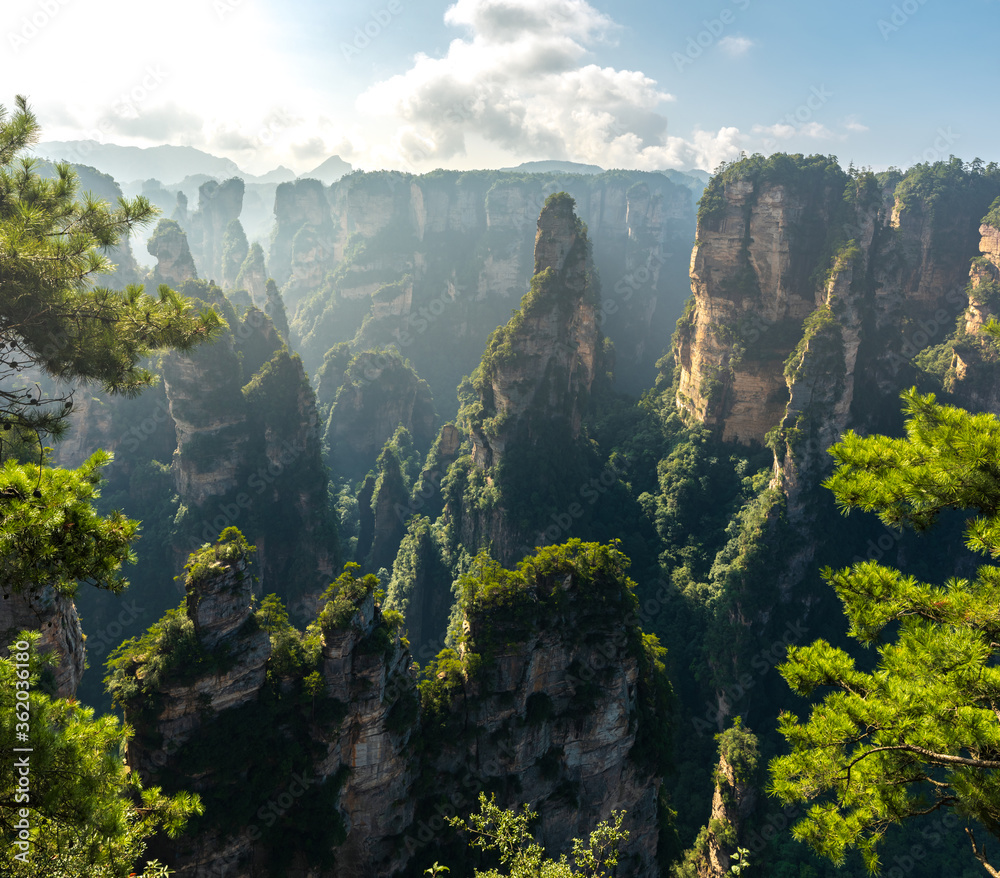 Green nature background, beautiful panoramic picture of Zhangjiajie ...