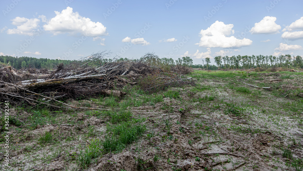 Foto de Stock Area of illegal logging. Forests Deforestation humans are causing global warming ...