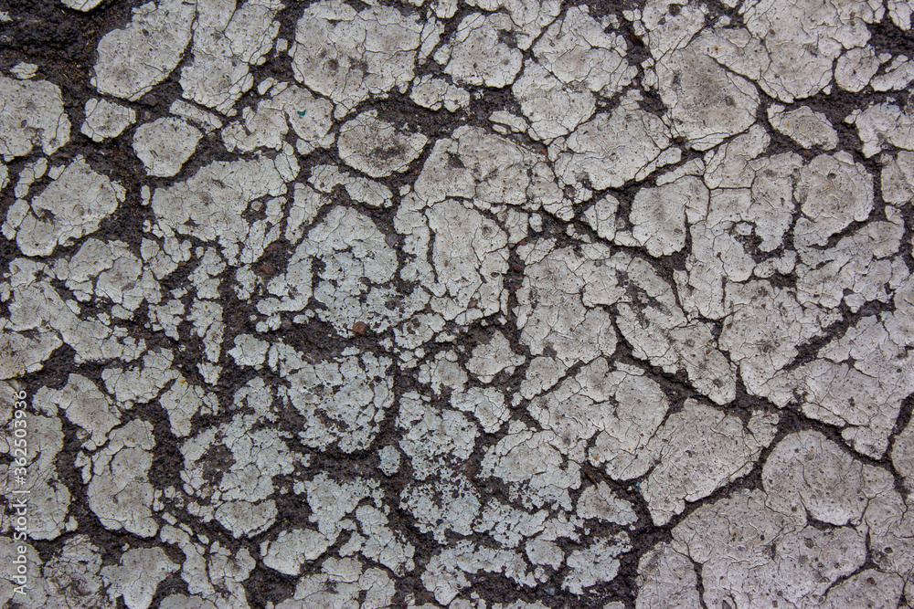 Cracked flaking white paint on old stone wall. Old Weathered Painted ...