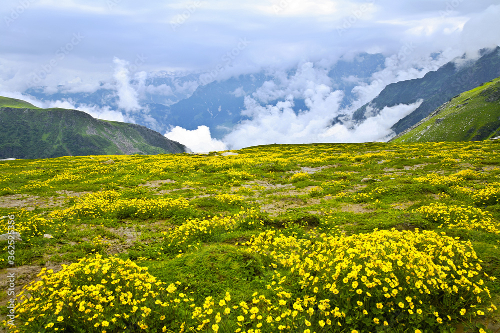 Beautiful scenic view of rohtang pass, the himalayan valley, Himachal ...