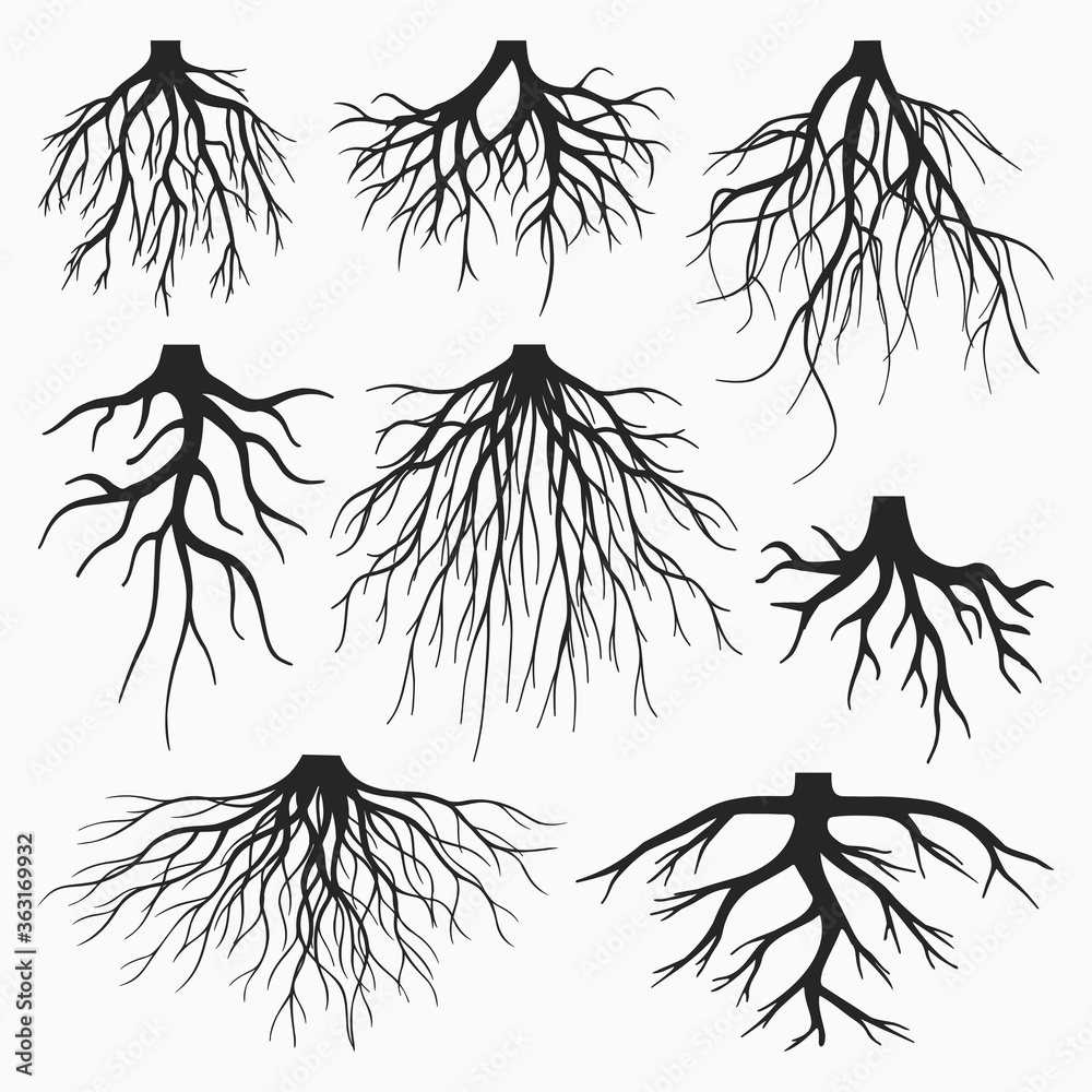 TREE ROOTS VECTOR SET Stock Vector | Adobe Stock