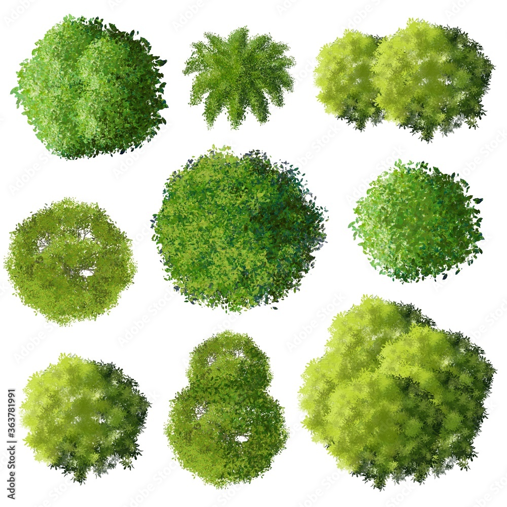 set of tree top view for landscape plan and architecture element Stock ...