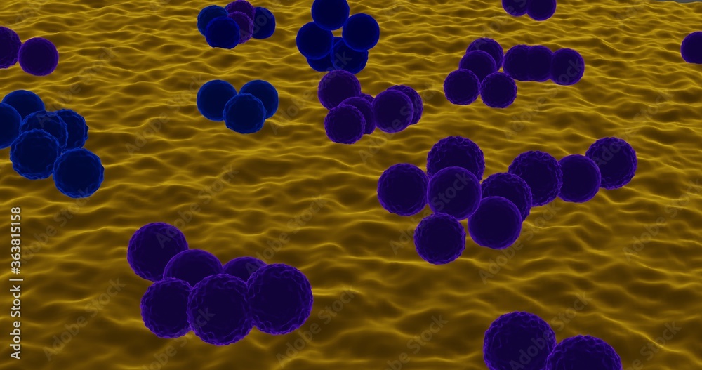 Staphylococcus aureus in 3d illustration Stock Illustration | Adobe Stock
