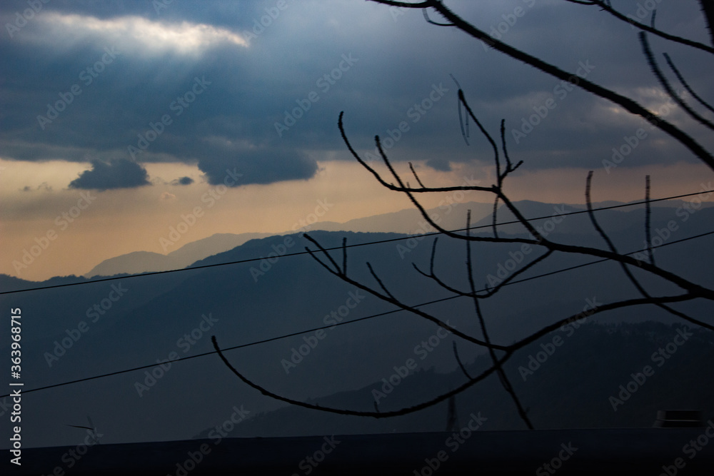Gangtok, Sikkim, India, Asia. silhouette of branches of a trees on the ...