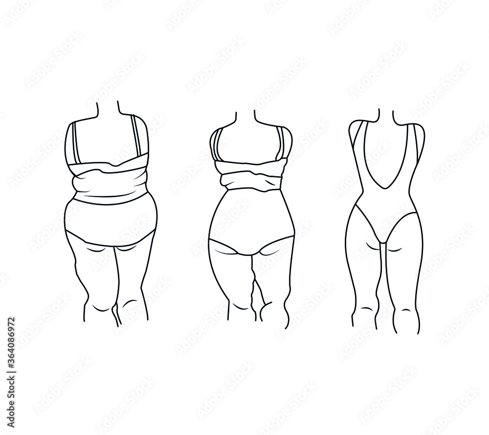 Types of female bodies. Woman body shapes line Vector illustration 素材庫 ...