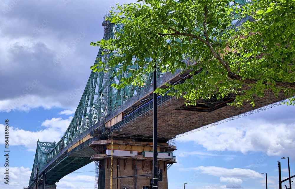 Pont Jacques-Cartier derrière un arbre Stock Photo | Adobe Stock