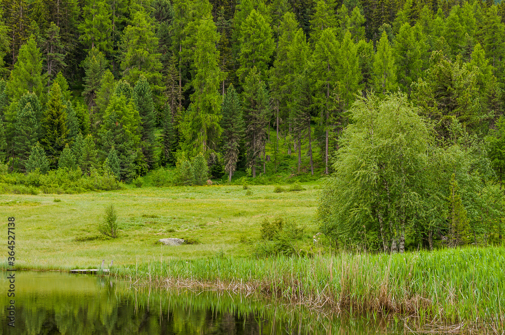St. Moritz, Pontresina, Stazersee, Badesee, Bergsee, Lej da Staz ...