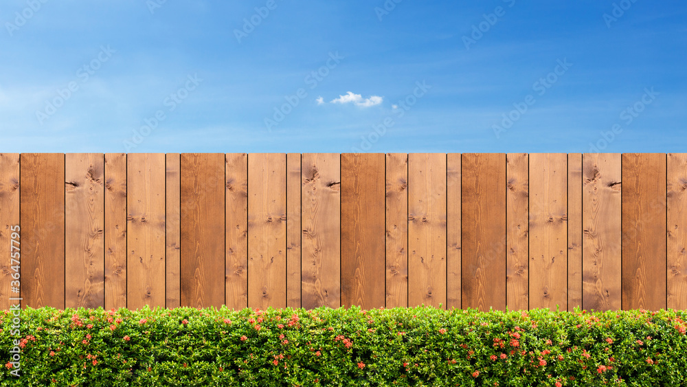Brown wooden fence and Green bush on a clear blue sky background Stock ...