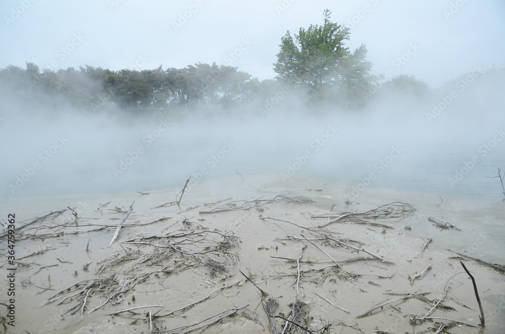 Rotorua, a town set on its namesake lake on New Zealand's North Island ...